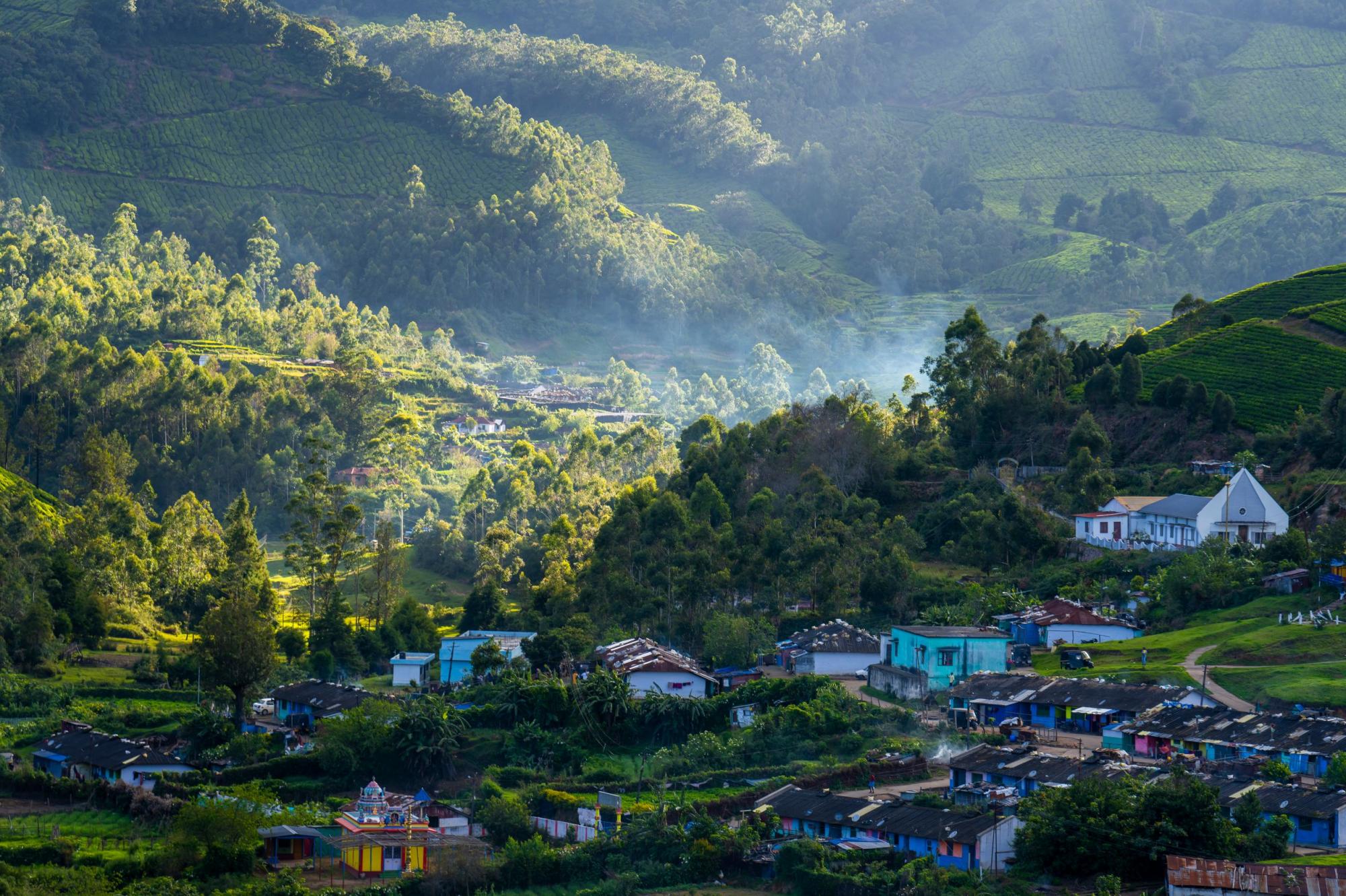 Munnar for Backpackers: Hike, Dive, Camp, & Explore! | Zostel