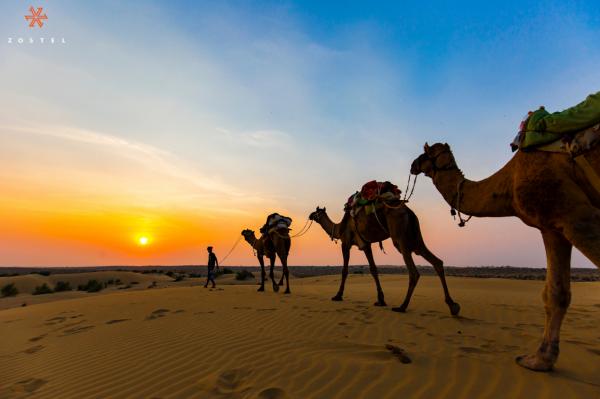 Rajasthan’s Most Iconic Experience: Sam Desert | Zostel