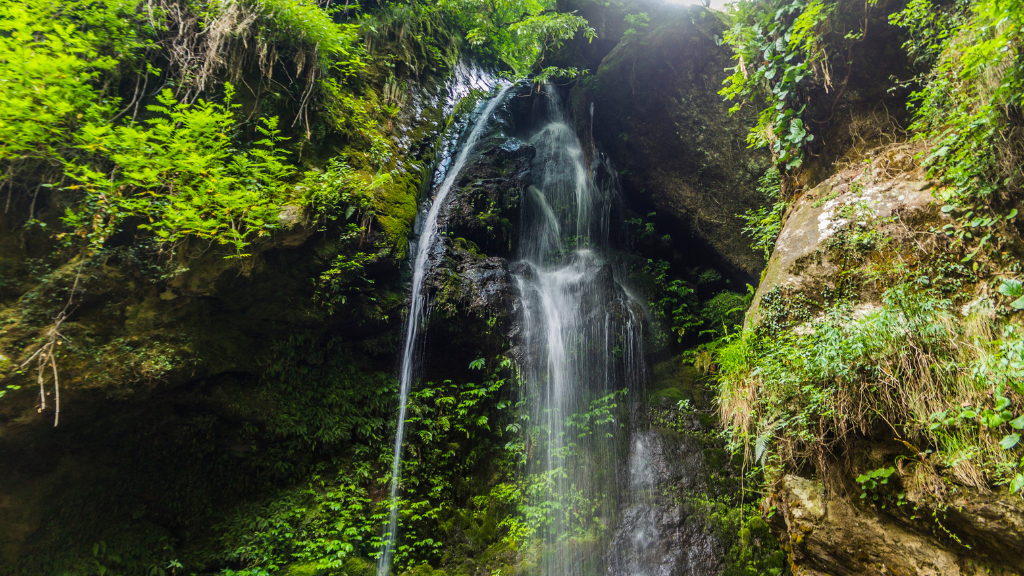 Exploring the Himalayan Paradise: Your Guide to Tirthan Valley | Zostel ...