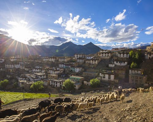 Zostel | Largest Branded Hostel Chain in India & Nepal