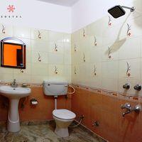 Zostel Rishikesh | Top Rated Branded Hostel in Rishikesh