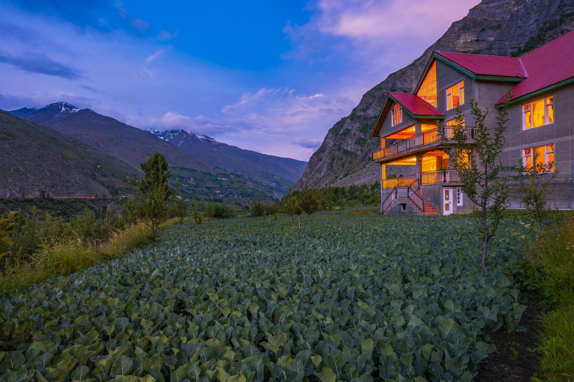 Zostel | Largest Branded Hostel Chain in India & Nepal