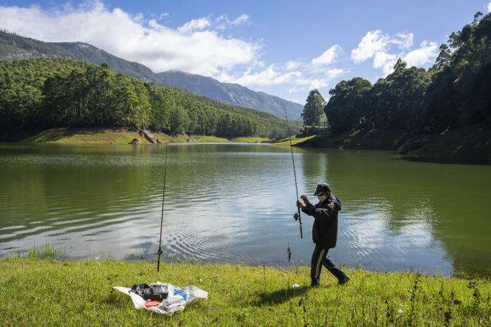 Munnar Zostel munnar-zostel
