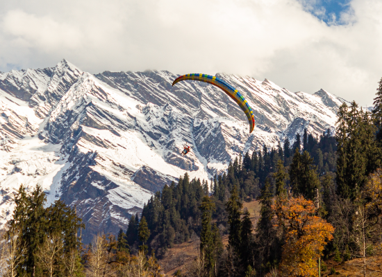 Zostel | Largest Branded Hostel Chain in India & Nepal