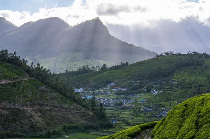Munnar Zostel munnar-zostel