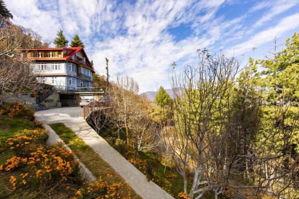 Zostel | Largest Branded Hostel Chain in India & Nepal