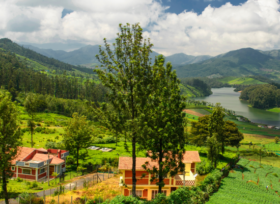 Zostel | Largest Branded Hostel Chain in India & Nepal
